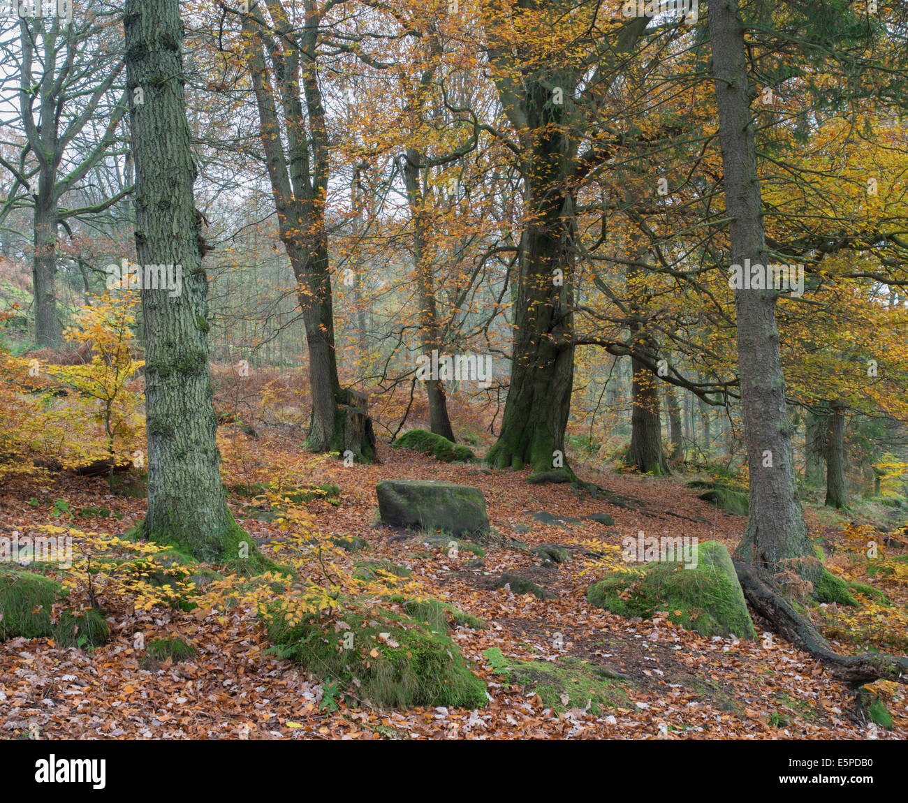 Family gorge walking uk hi-res stock photography and images - Alamy