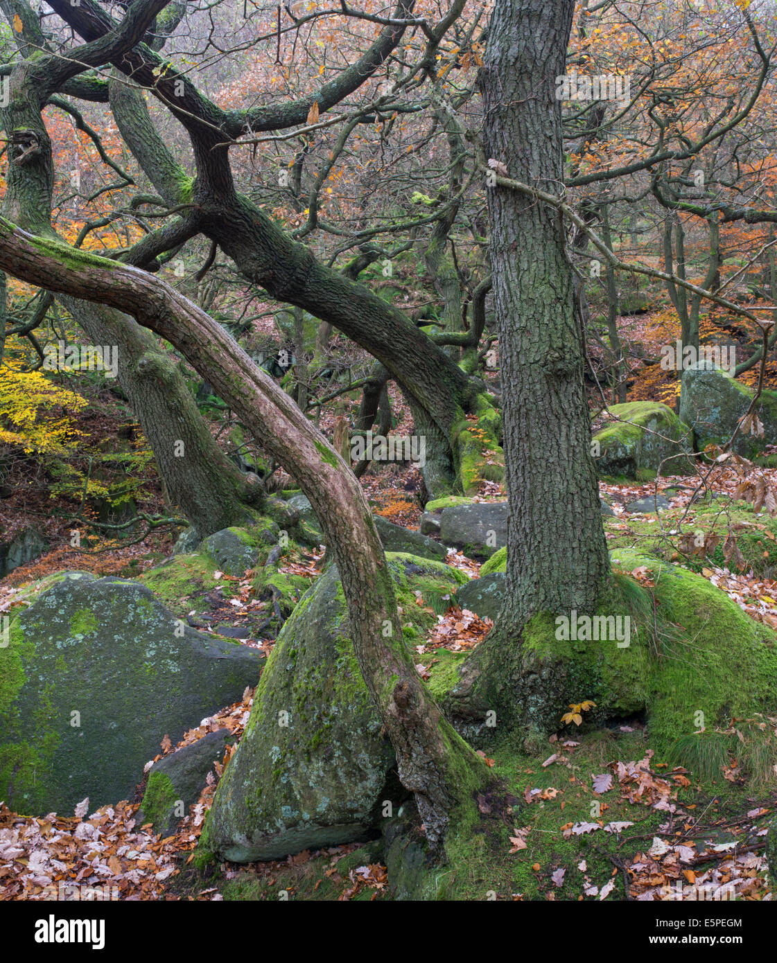 Family walks in the peak district hi-res stock photography and images ...