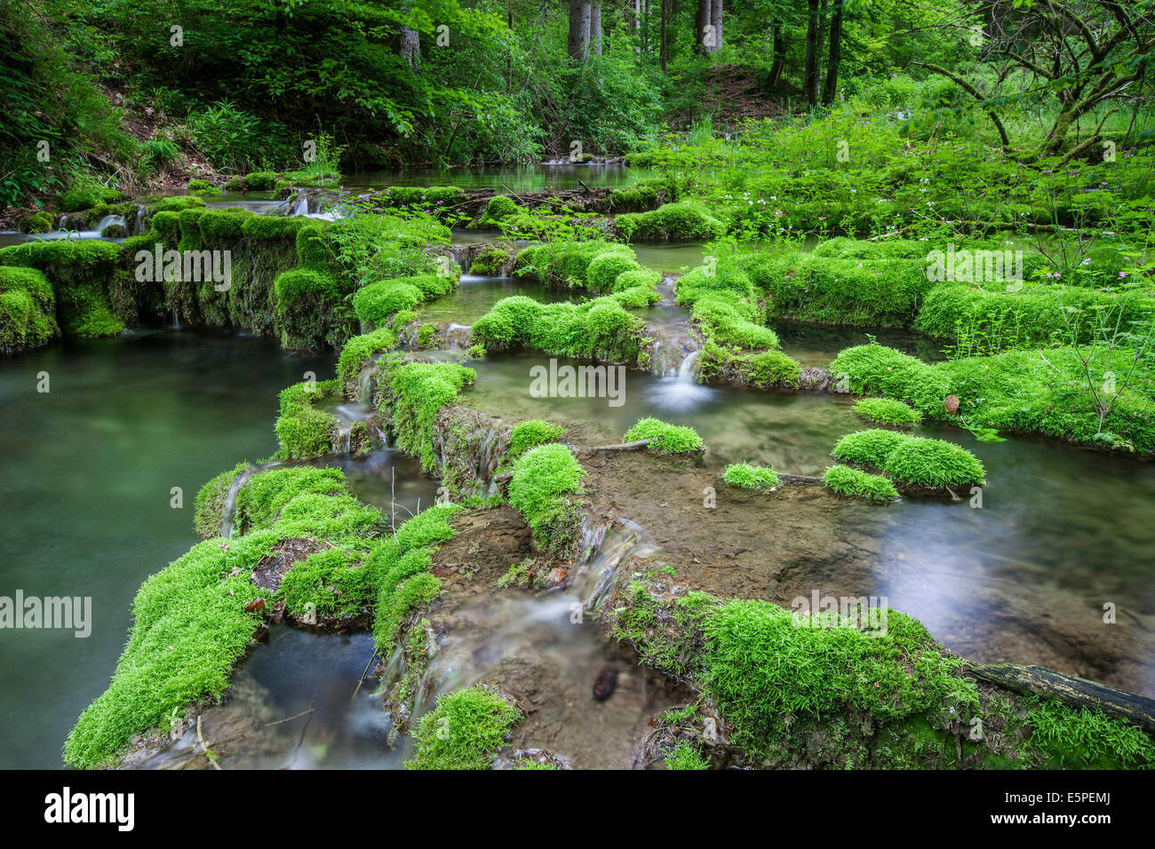 Kaisinger Brunnenbach, stream, Greding, Bavaria, Germany Stock Photo ...
