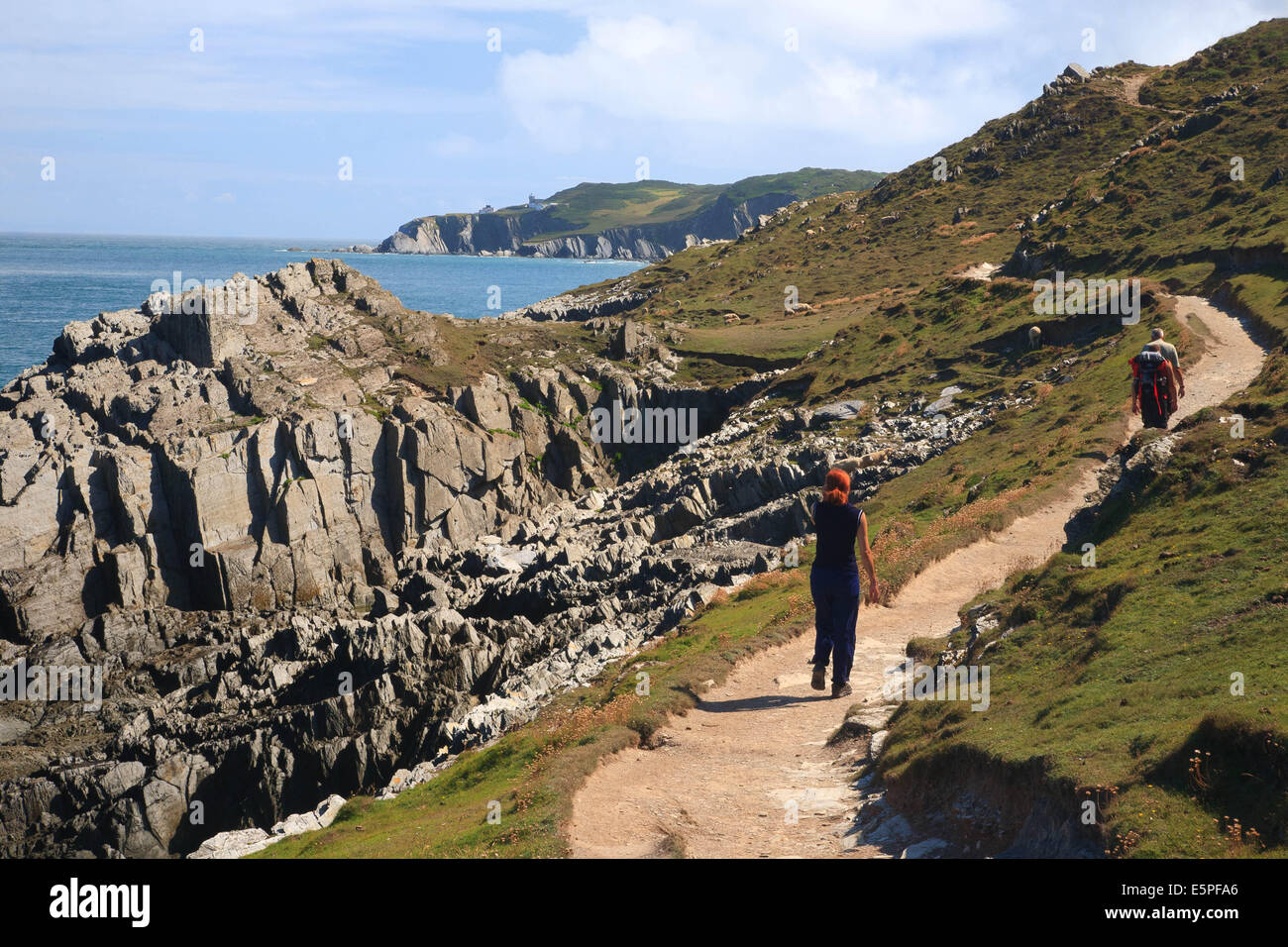 Walking from Morte Point to Bull Point, near Mortehoe and Woolacombe, N ...