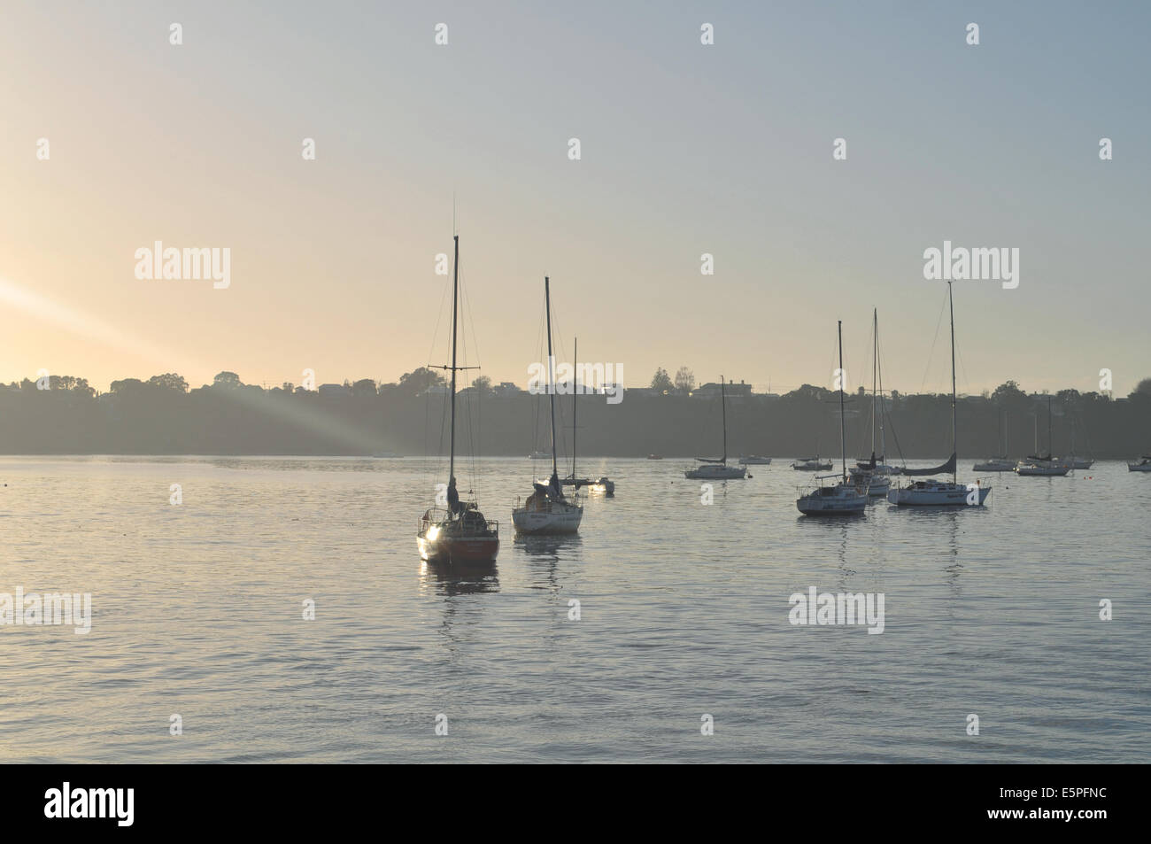 Sailboats anchored on calm sea in early morning sun Stock Photo - Alamy