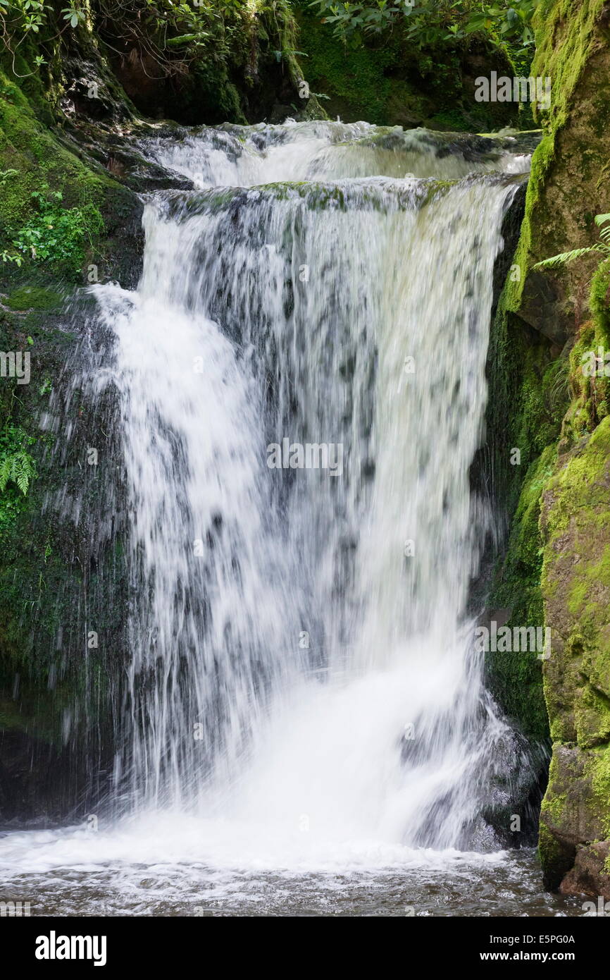 Geroldsau Waterfalll, Geroldsau part of the city of Baden Baden, Black ...