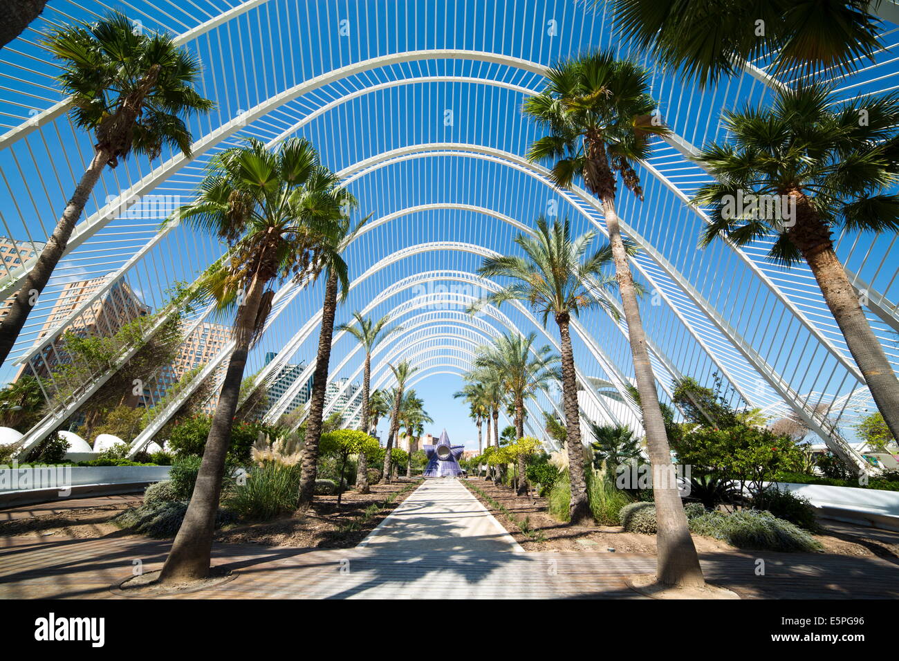 Lumbracle valencia High Resolution Stock Photography and Images - Alamy