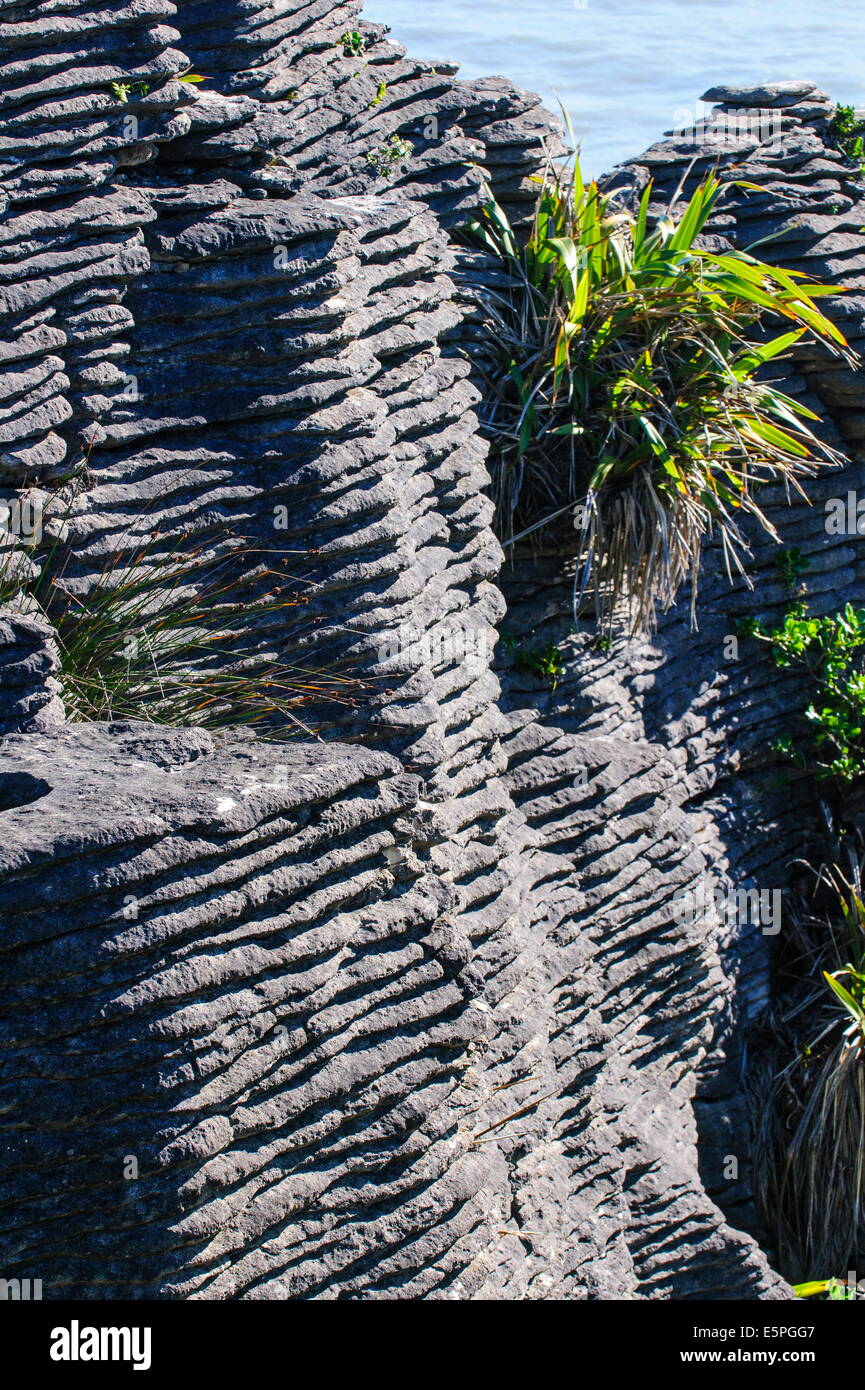 Beautiful rock formation, Pancake Rocks, Paparoa National Park, West ...