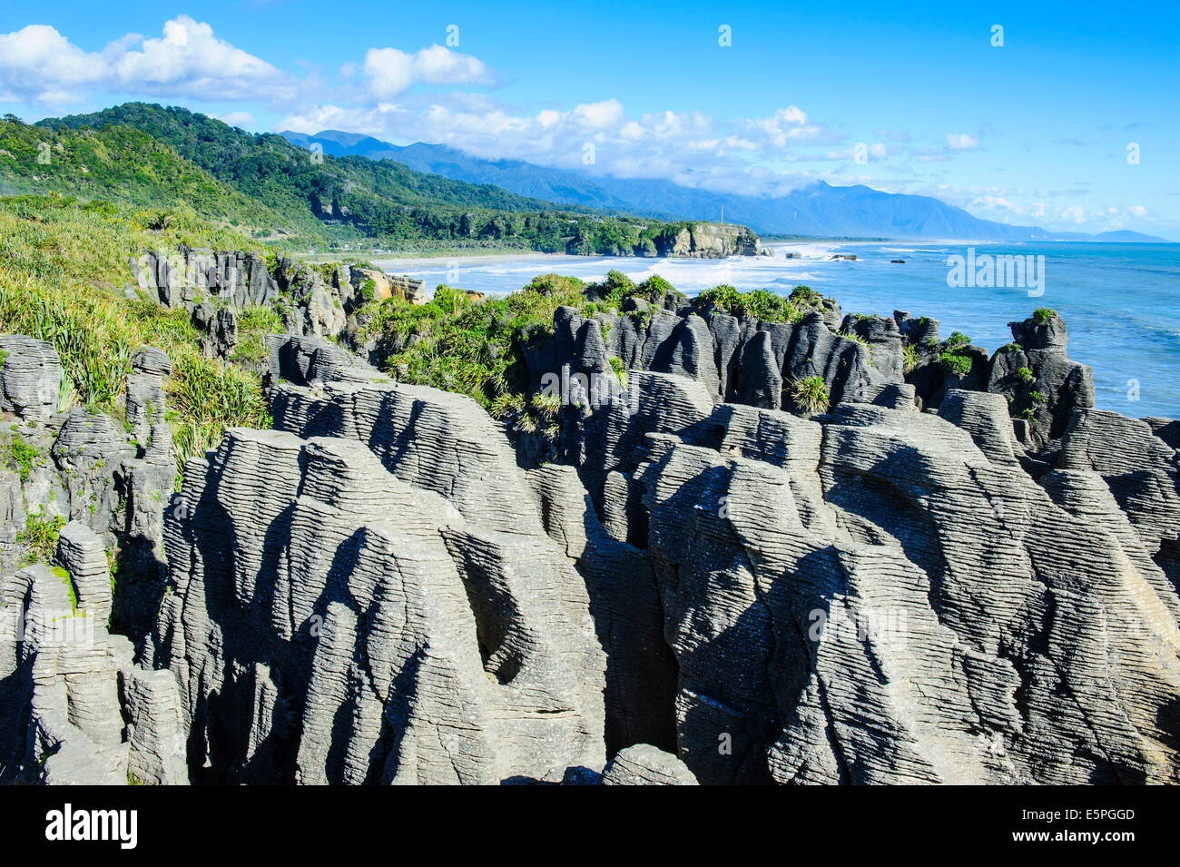 New zealand paparoa national park hi-res stock photography and images ...
