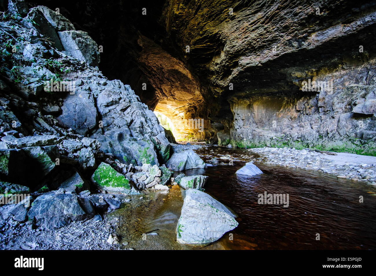 Oparara Arch in the Oparara Basin, Karamea, West Coast, South Island ...