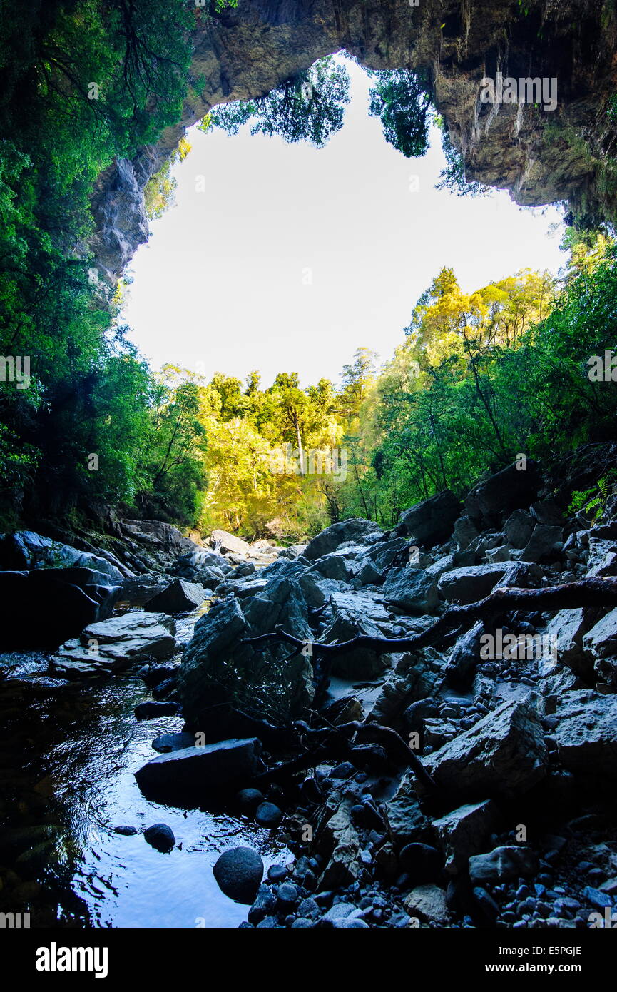 Oparara arch in the Oparara Basin, Karamea, West Coast, South Island ...