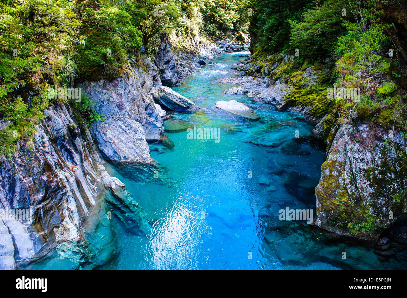 The stunning Blue Pools, Haast Pass, South Island, New Zealand, Pacific ...