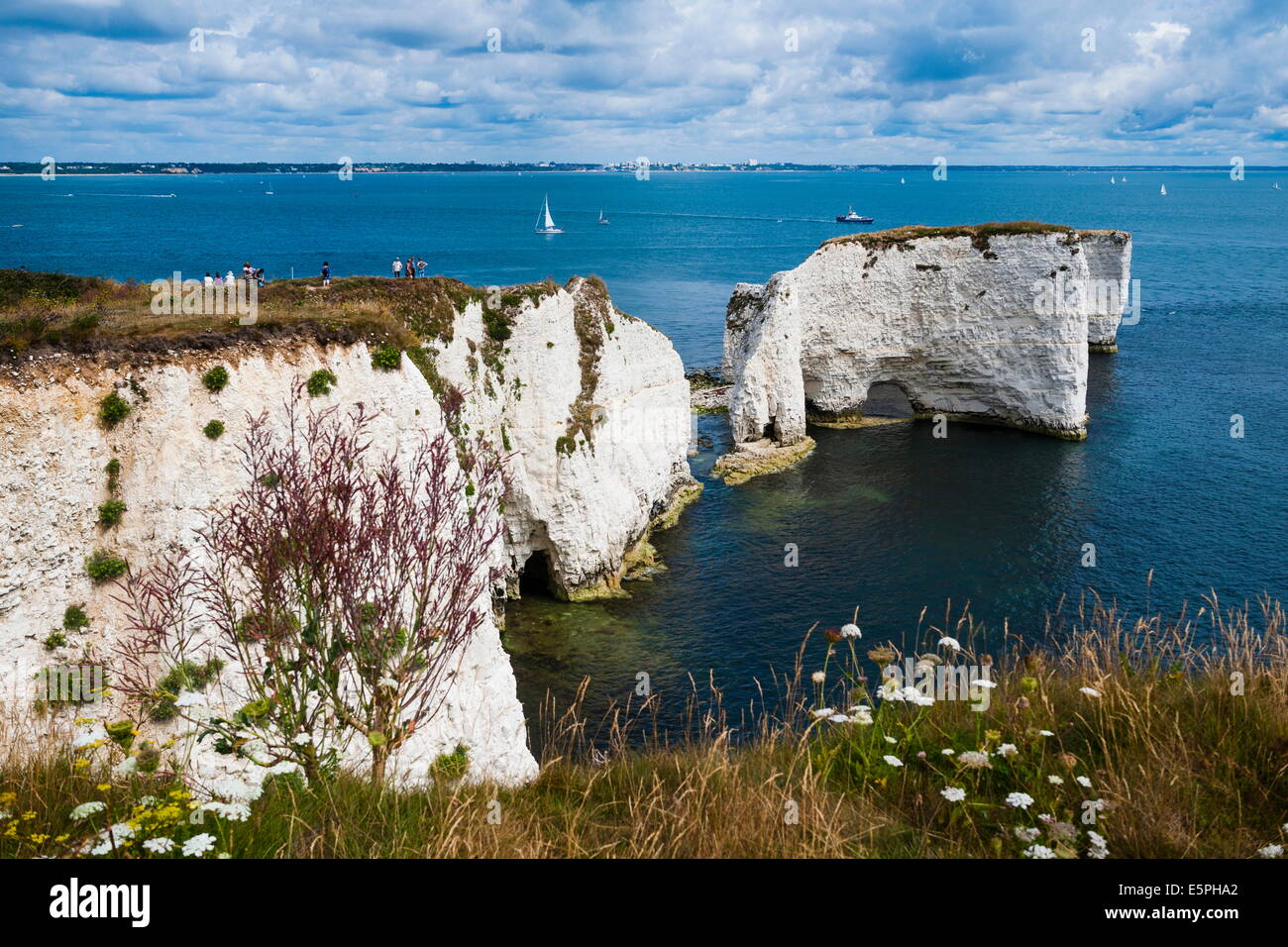 Chalk stacks and cliffs at Old Harry Rocks, between Swanage and Purbeck ... Chalk stacks and cliffs at Old Harry Rocks, between Swanage and Purbeck ...