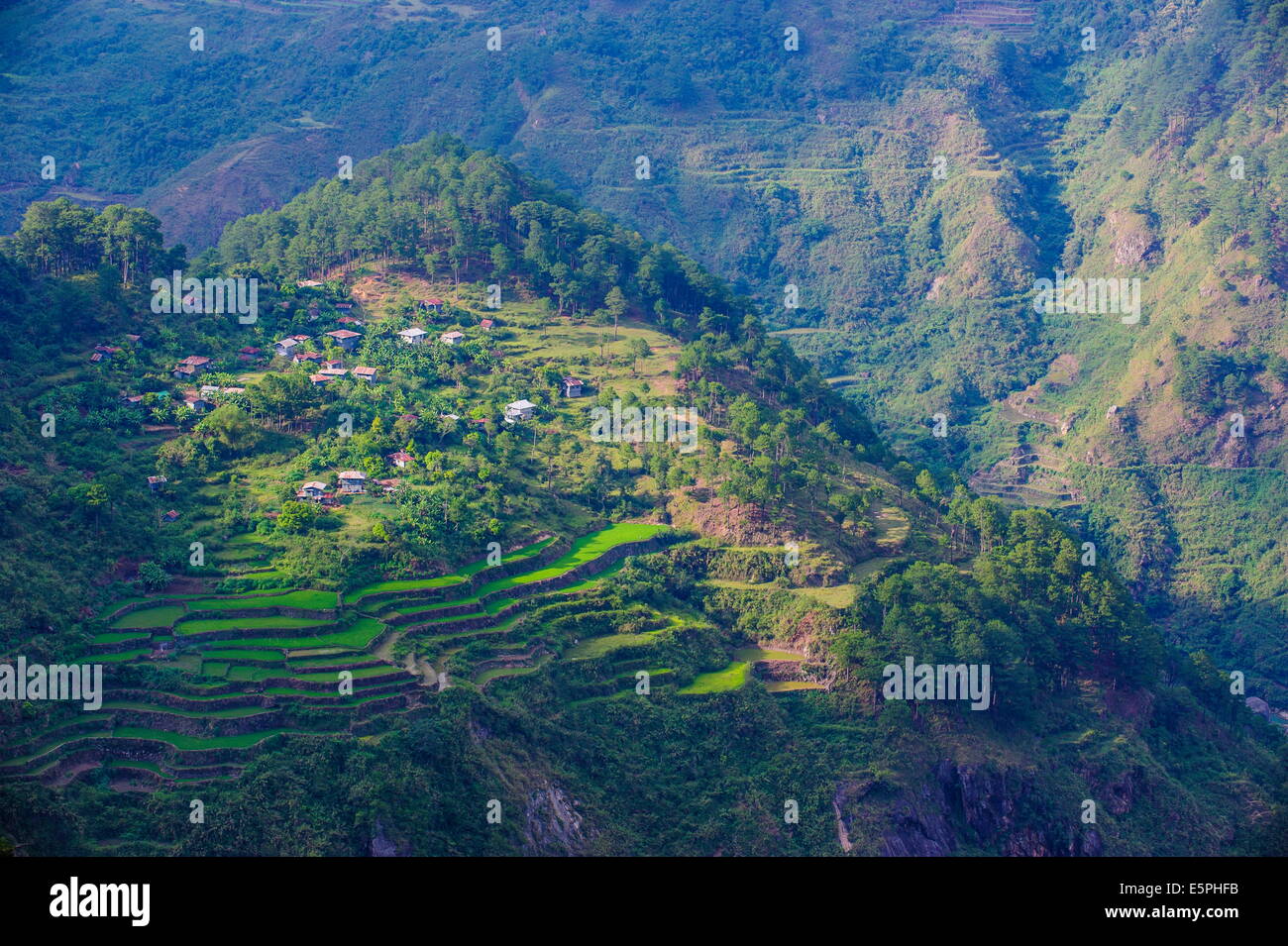 View from Kiltepan tower over the rice terraces, Sagada, Luzon ...