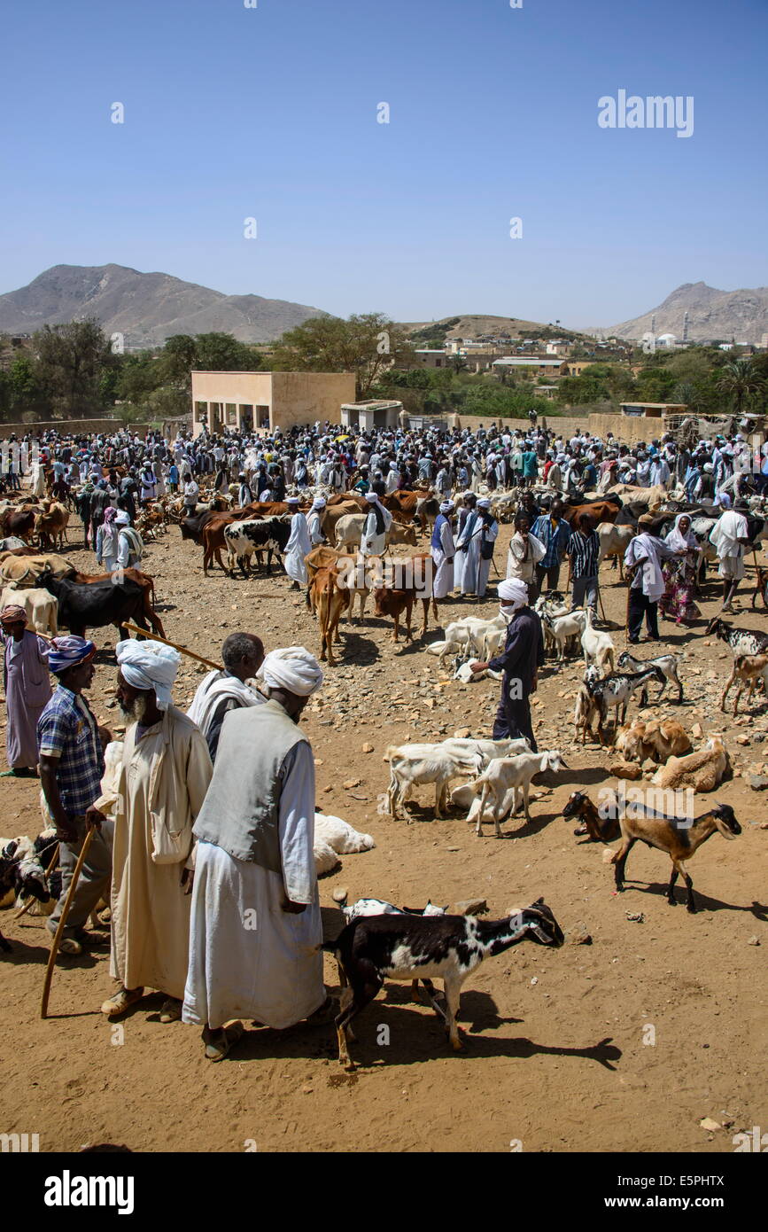 The Monday animal market of Keren, Eritrea, Africa Stock Photo - Alamy