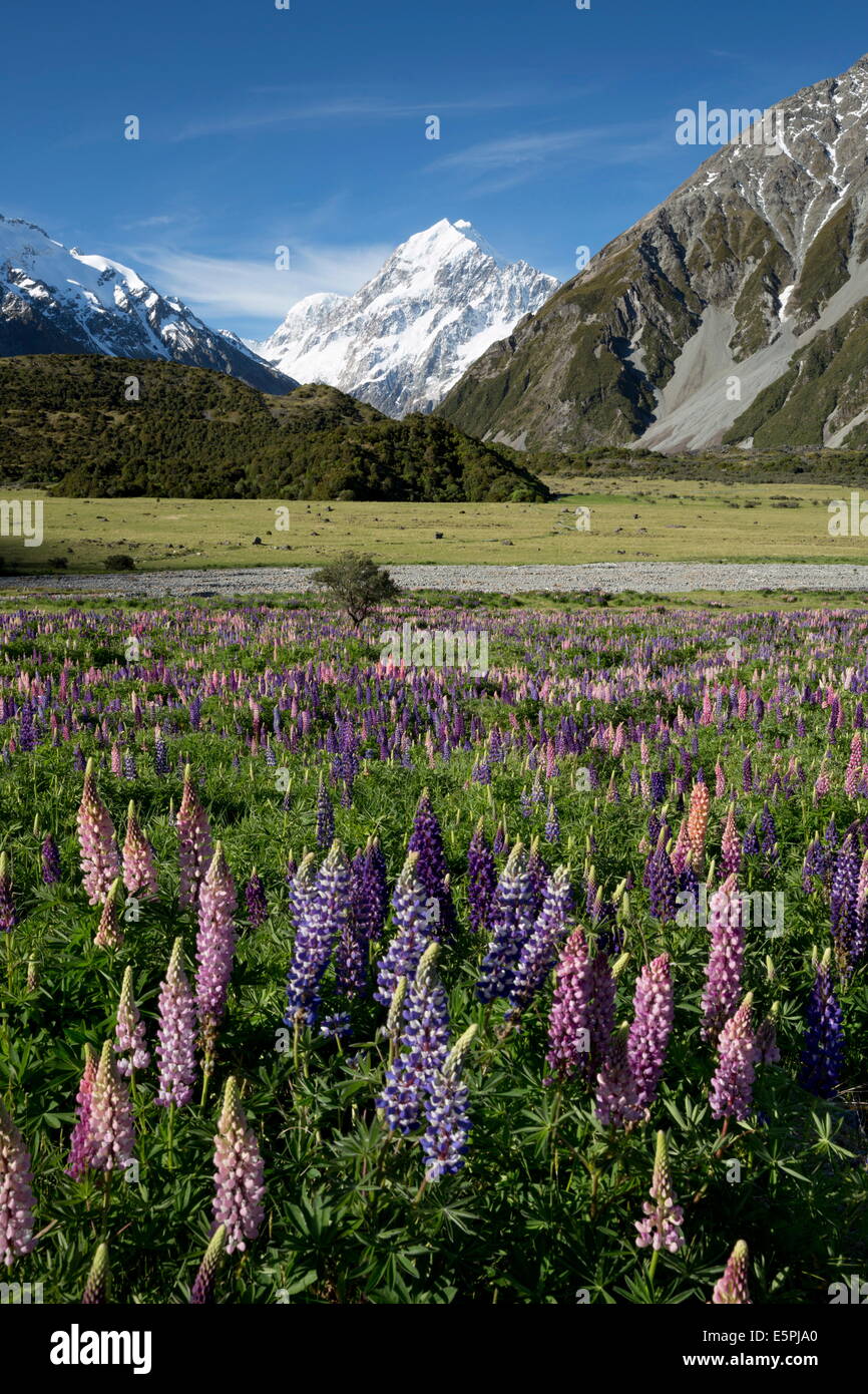 Mount cook village new zealand hi-res stock photography and images - Alamy