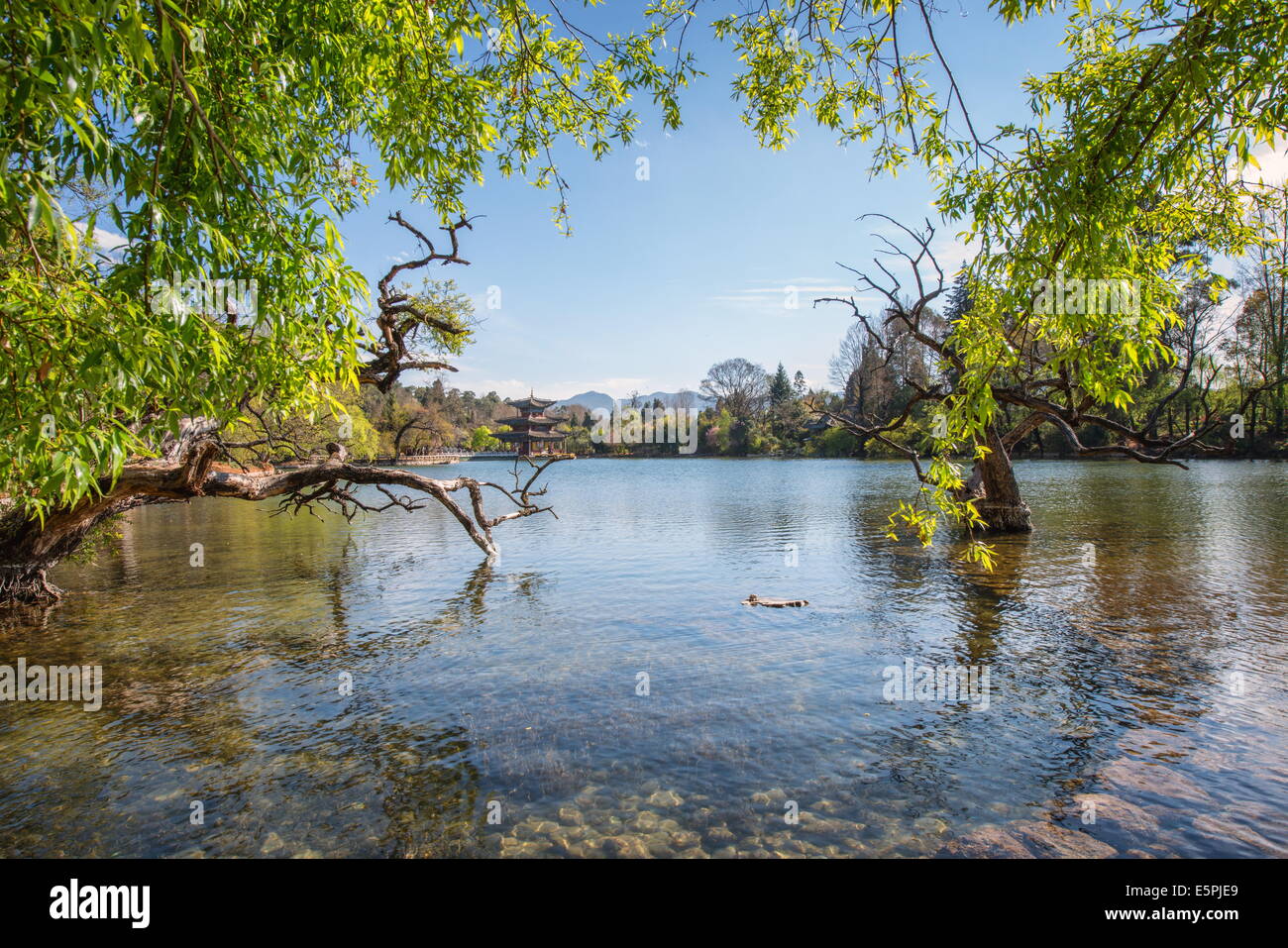 Lake and Moon Embracing Pavilion in Jade Spring Park, framed by trees ...