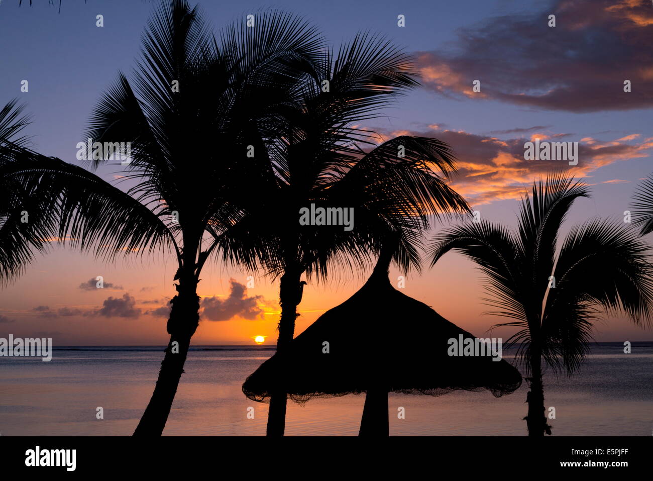 Sunset through palm trees on the beach at the Lux Le Morne Hotel on Le ...