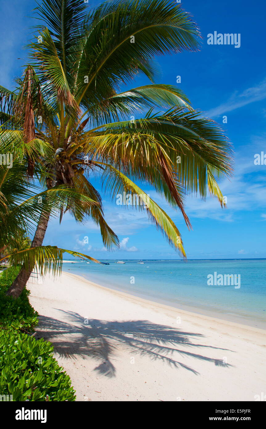 Mauritius beach hi-res stock photography and images - Alamy
