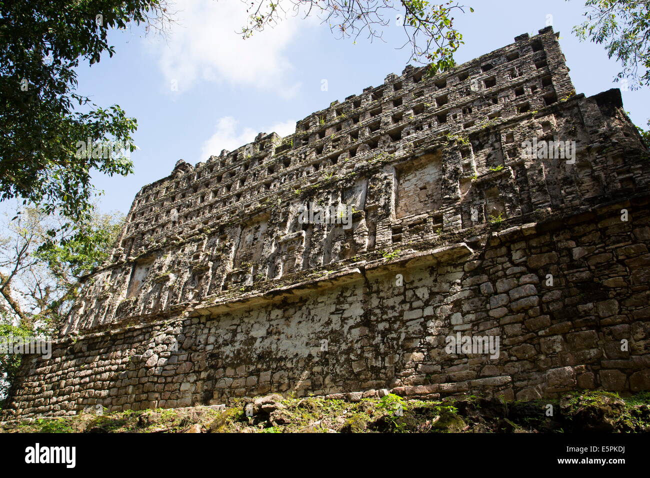 Yaxchilan Structure High Resolution Stock Photography and Images - Alamy