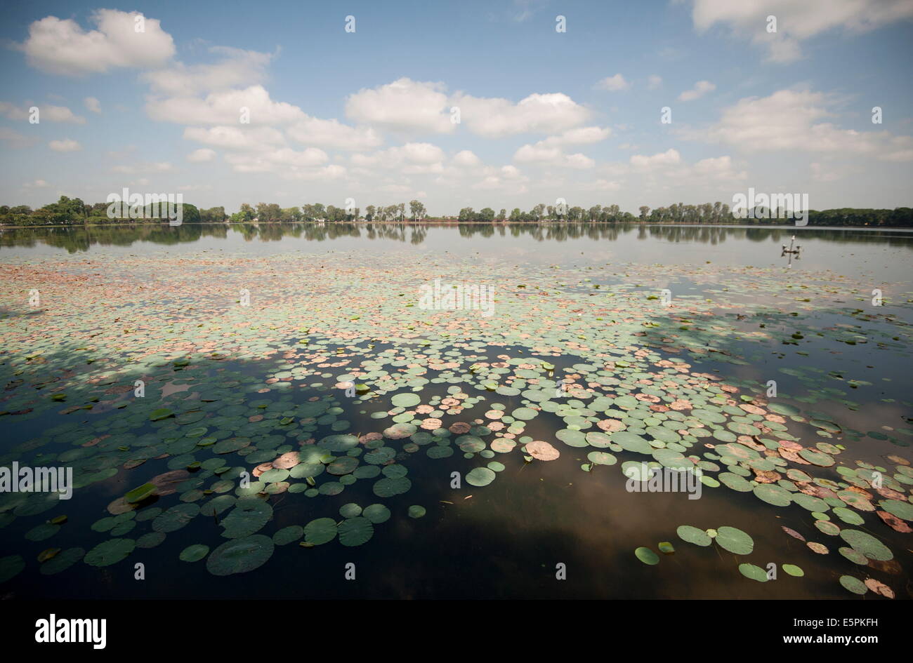 Joysagar, built by Swargadeo Rudra Singha, Joymoti, India's largest man ...