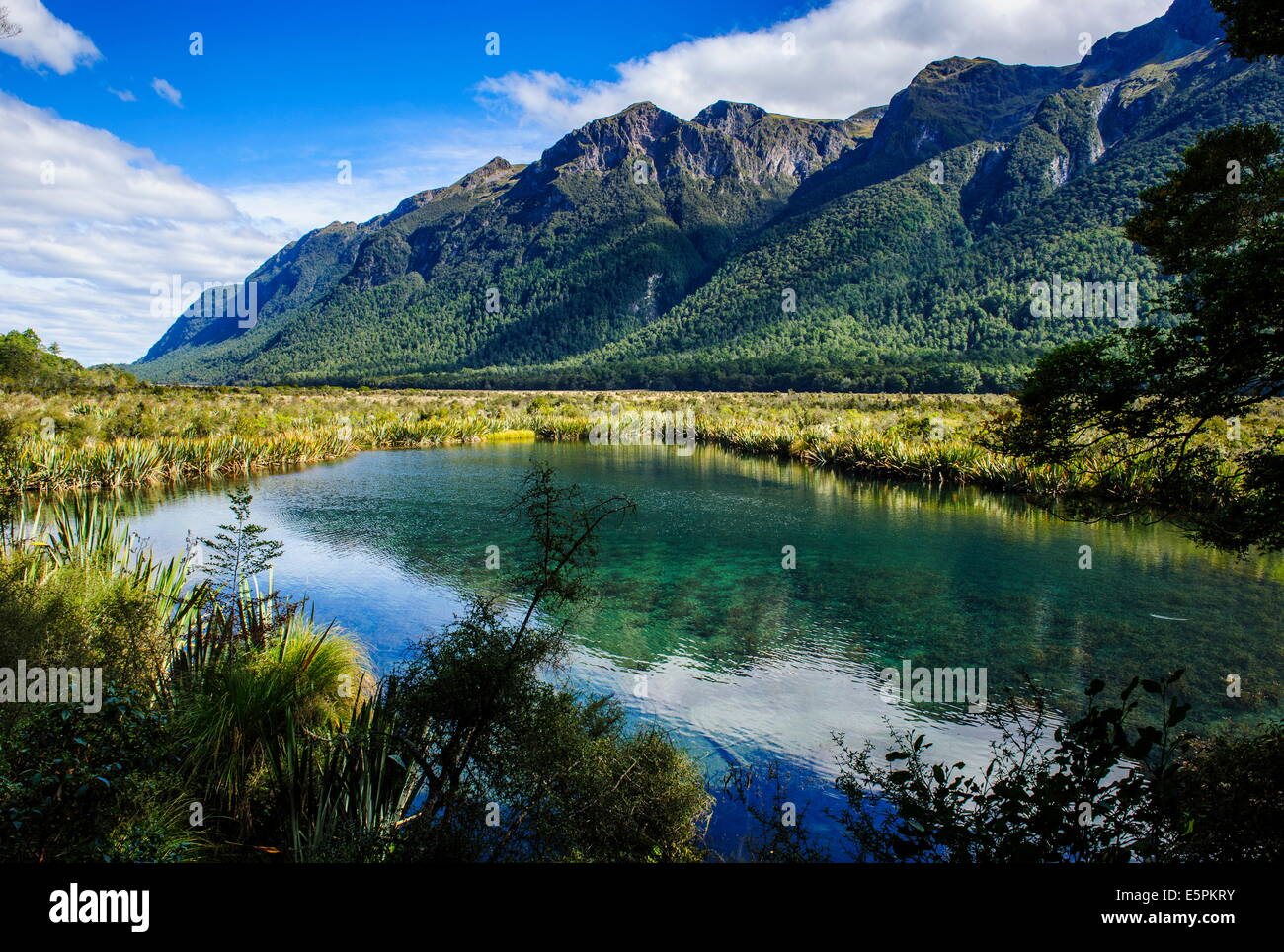 Water mirror reflecting hi-res stock photography and images - Alamy