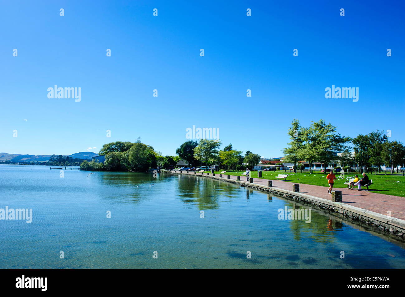 The shores of Lake Rotorua, Rotorua, North Island, New Zealand, Pacific ...