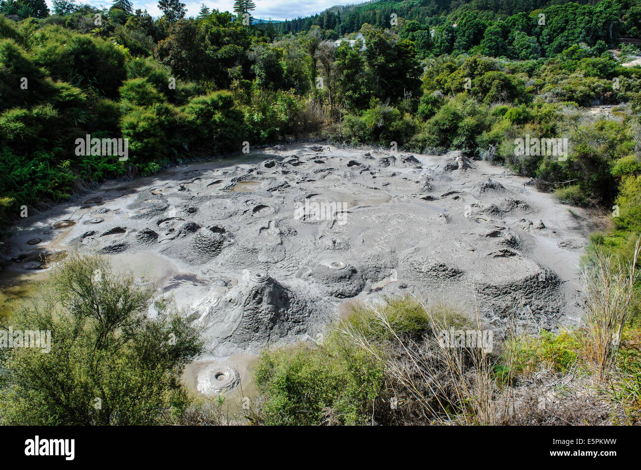Bubbling mud new zealand hi-res stock photography and images - Alamy
