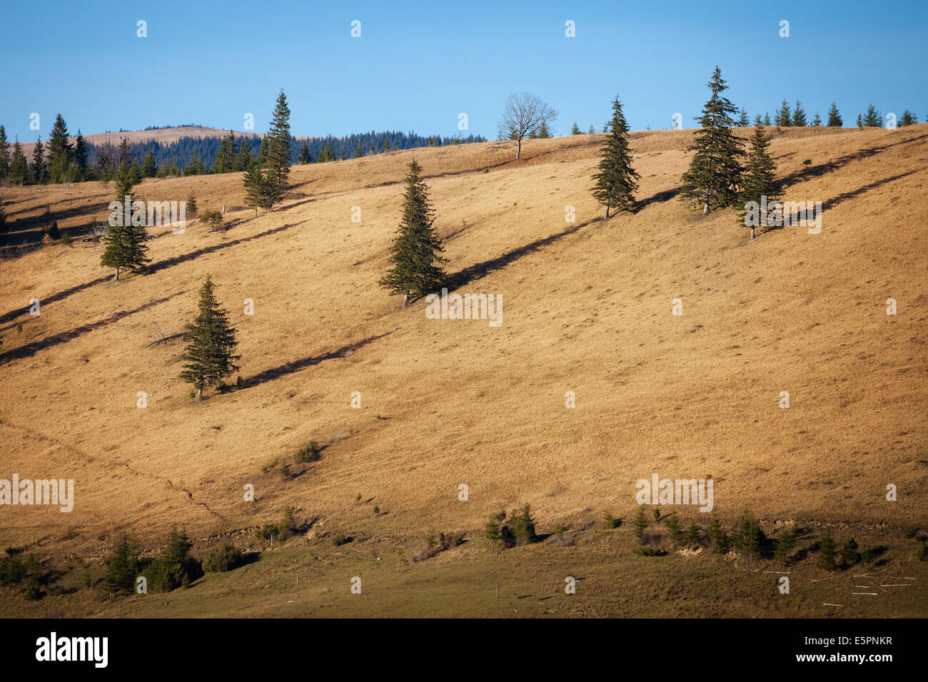 Autumn mountain hills Stock Photo - Alamy
