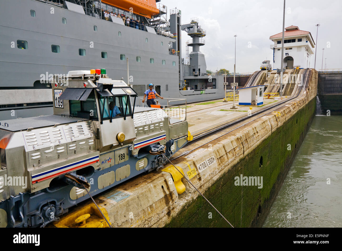 Mule close up towing cruise ship along Pedro Miguel canal, Panama Canal ...