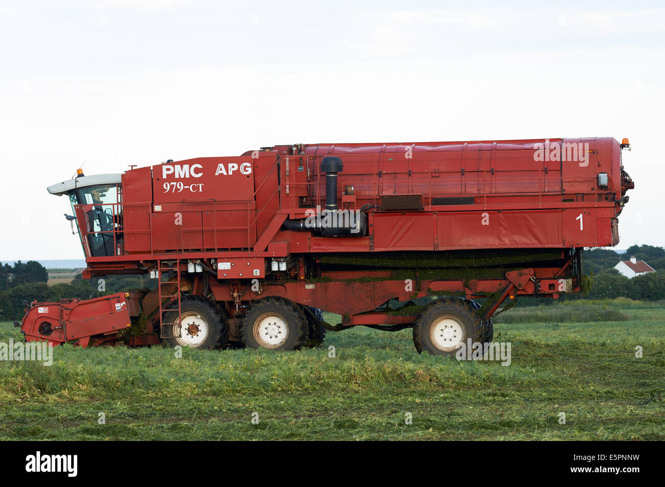 Pea viner hi-res stock photography and images - Alamy