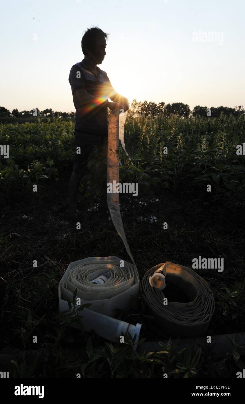 Farmer uses water pump pump hi-res stock photography and images - Alamy