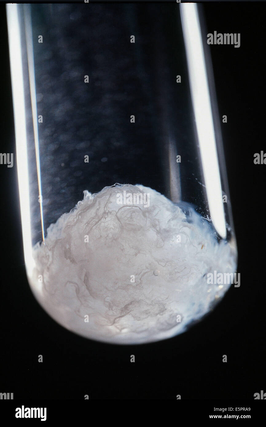 Genethon research laboratory, Evry, France. Solution of purified DNA ...