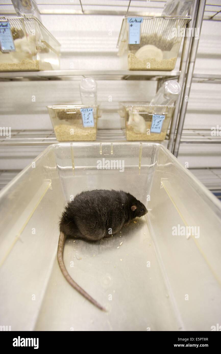 465 hi-res stock photography and images - Alamy