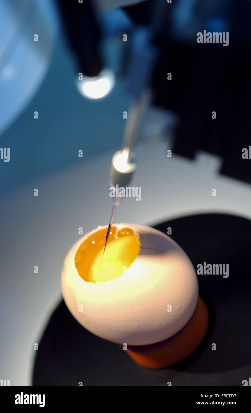 592 hi-res stock photography and images - Alamy