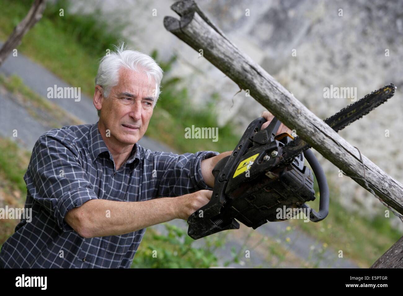 Using a chainsaw hi-res stock photography and images - Alamy