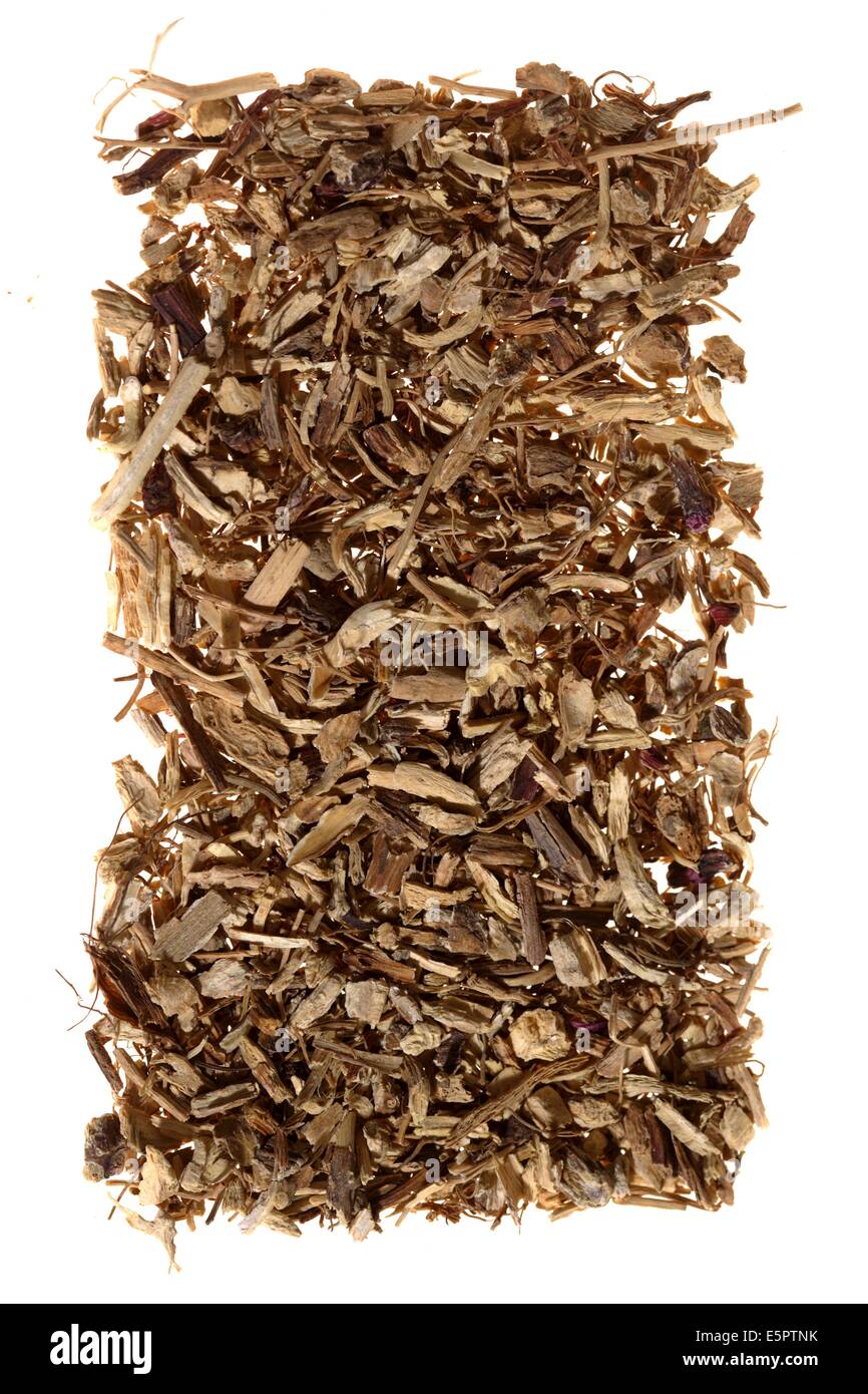 Coneflower roots hi-res stock photography and images - Alamy