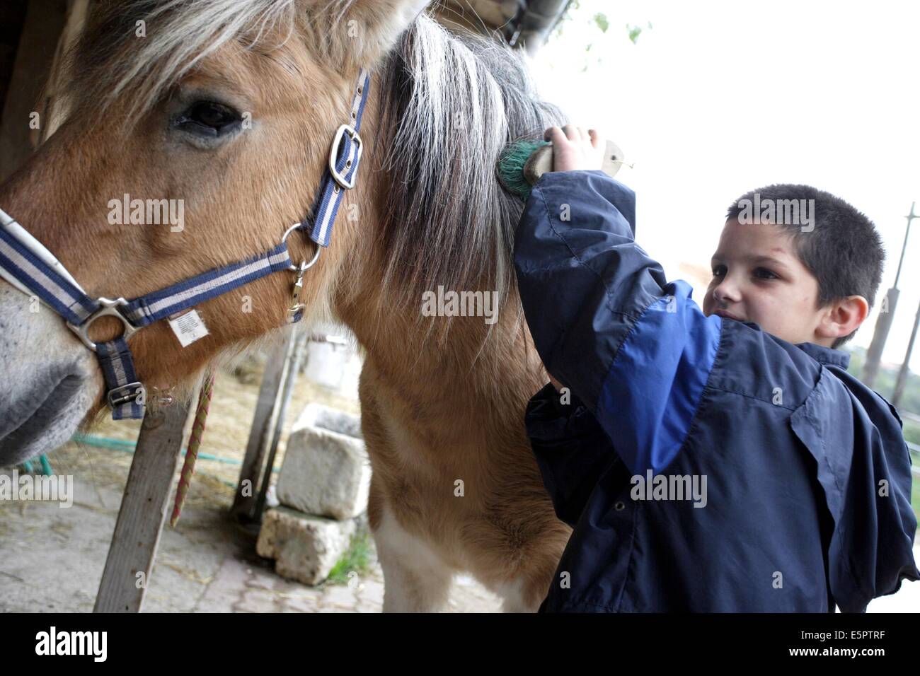 The Maison Forestiere is a weekly boarding facility for heavily ...