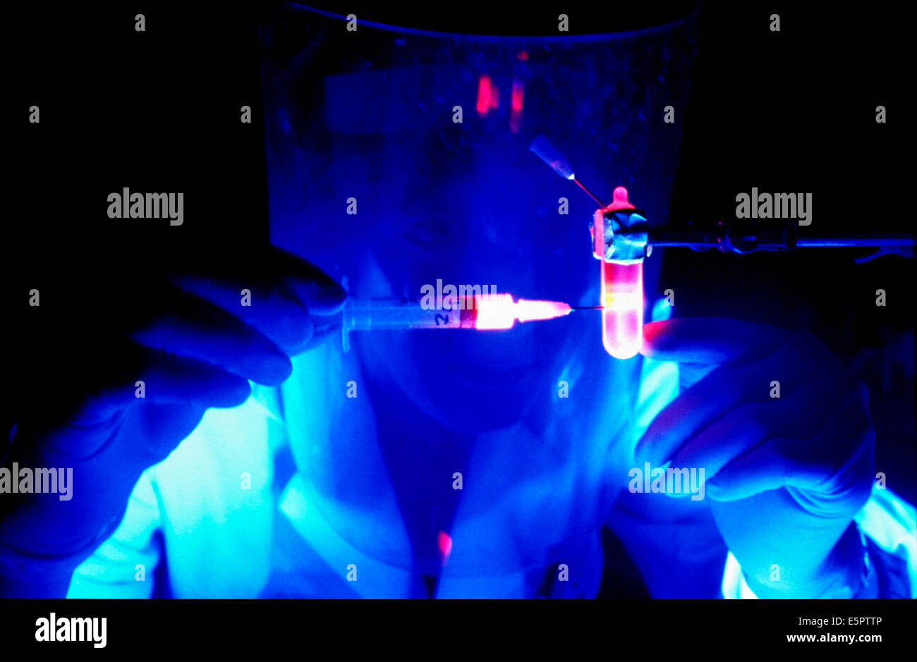 A researcher is extracting pure DNA for DNA sequencing Stock Photo - Alamy