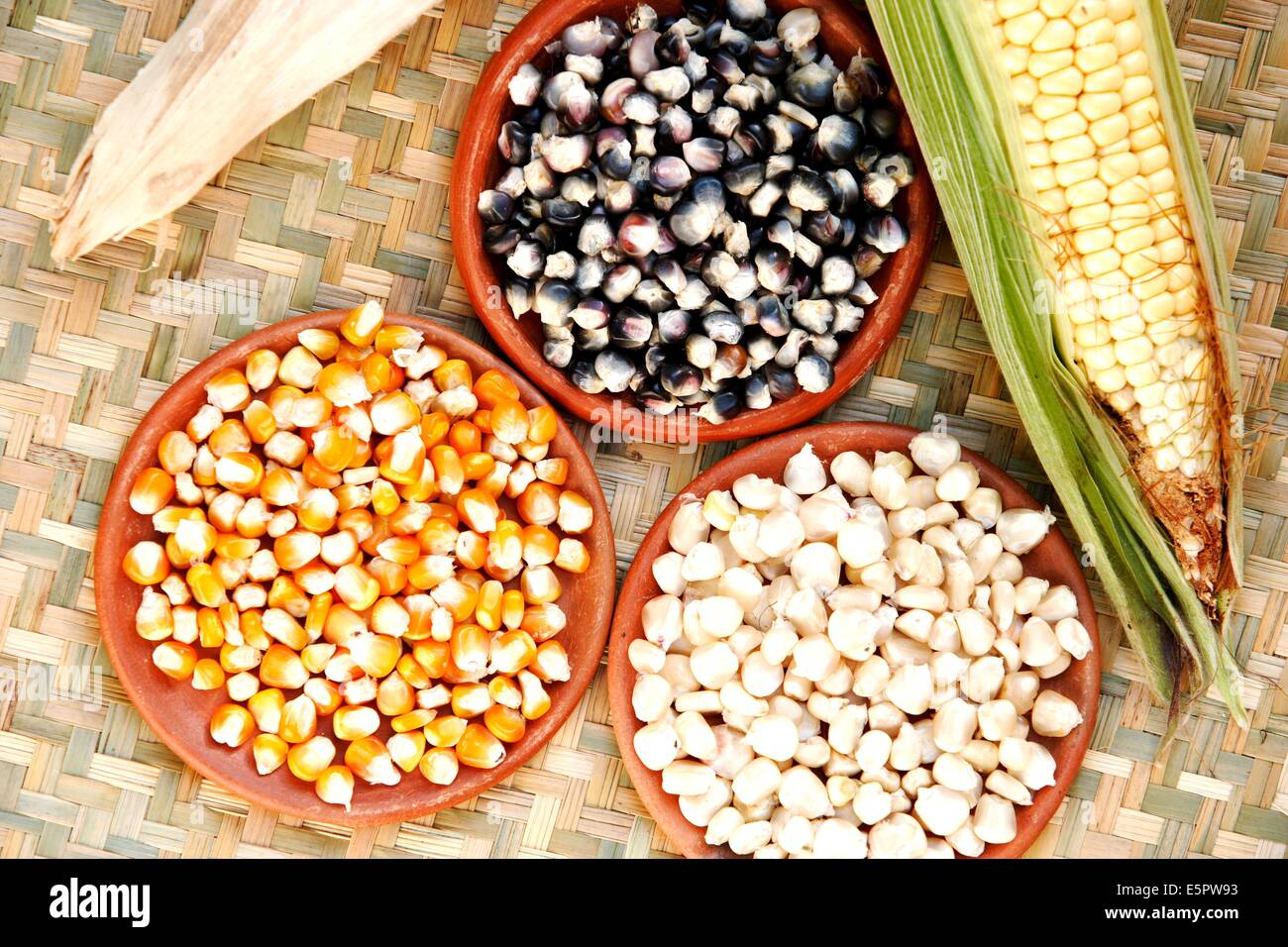 Different varieties (mutations) of corn Stock Photo - Alamy