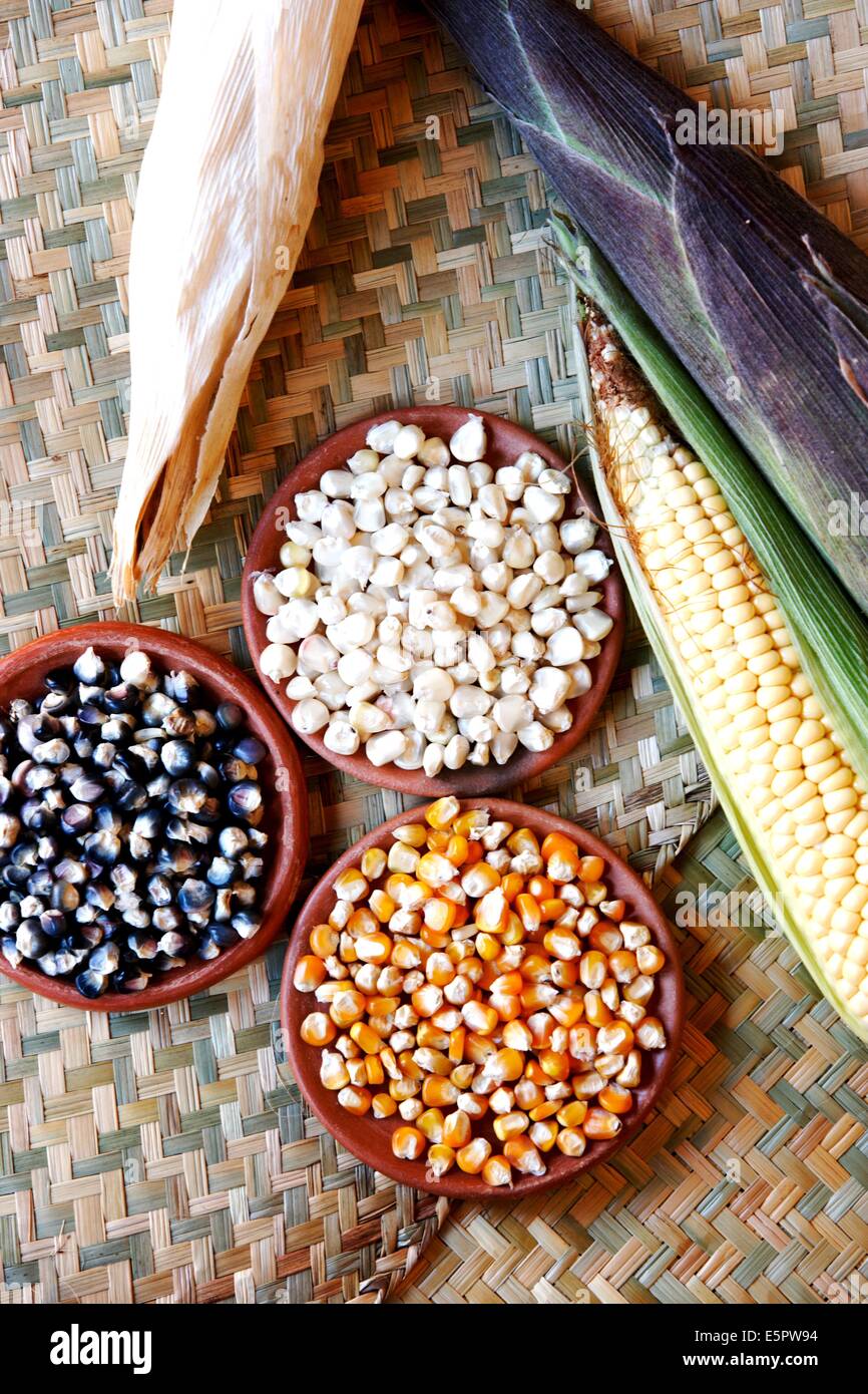 Different varieties (mutations) of corn Stock Photo - Alamy