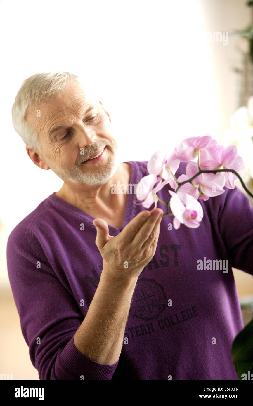 Man arranging flowers Stock Photo - Alamy