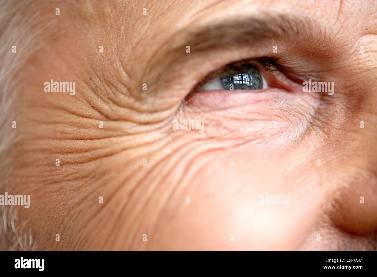 Close up of wrinkles Stock Photo - Alamy
