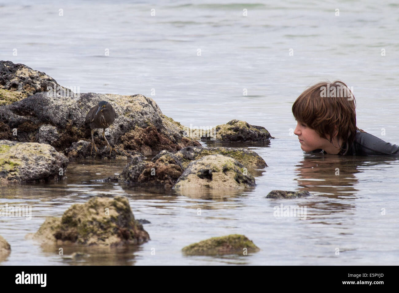 Observing observation hi-res stock photography and images - Alamy