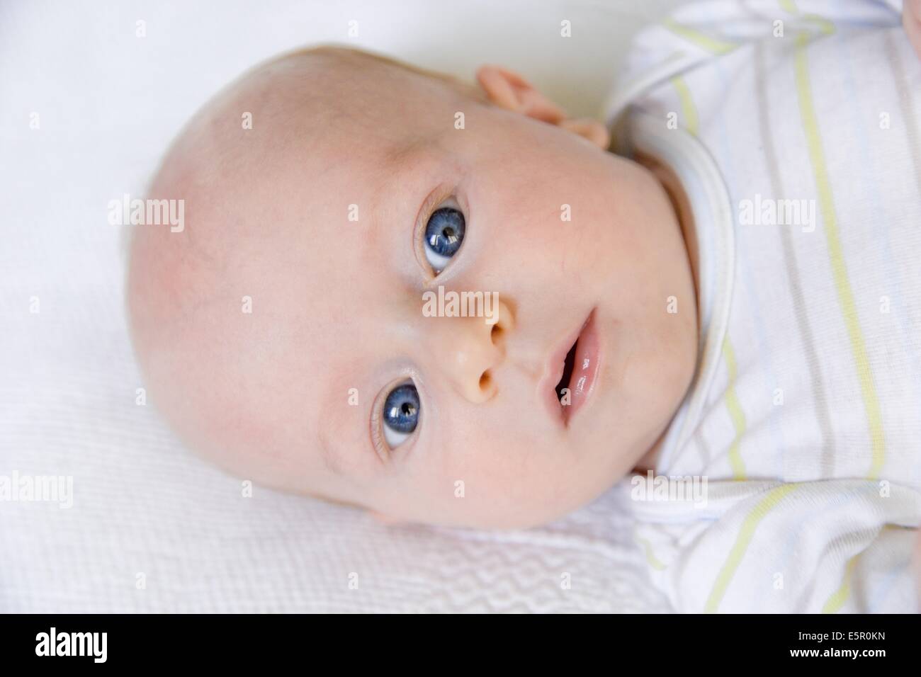 Portrait of a 3 month old baby Stock Photo - Alamy