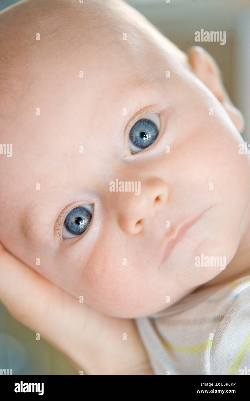 Portrait of a 3 month old baby Stock Photo - Alamy