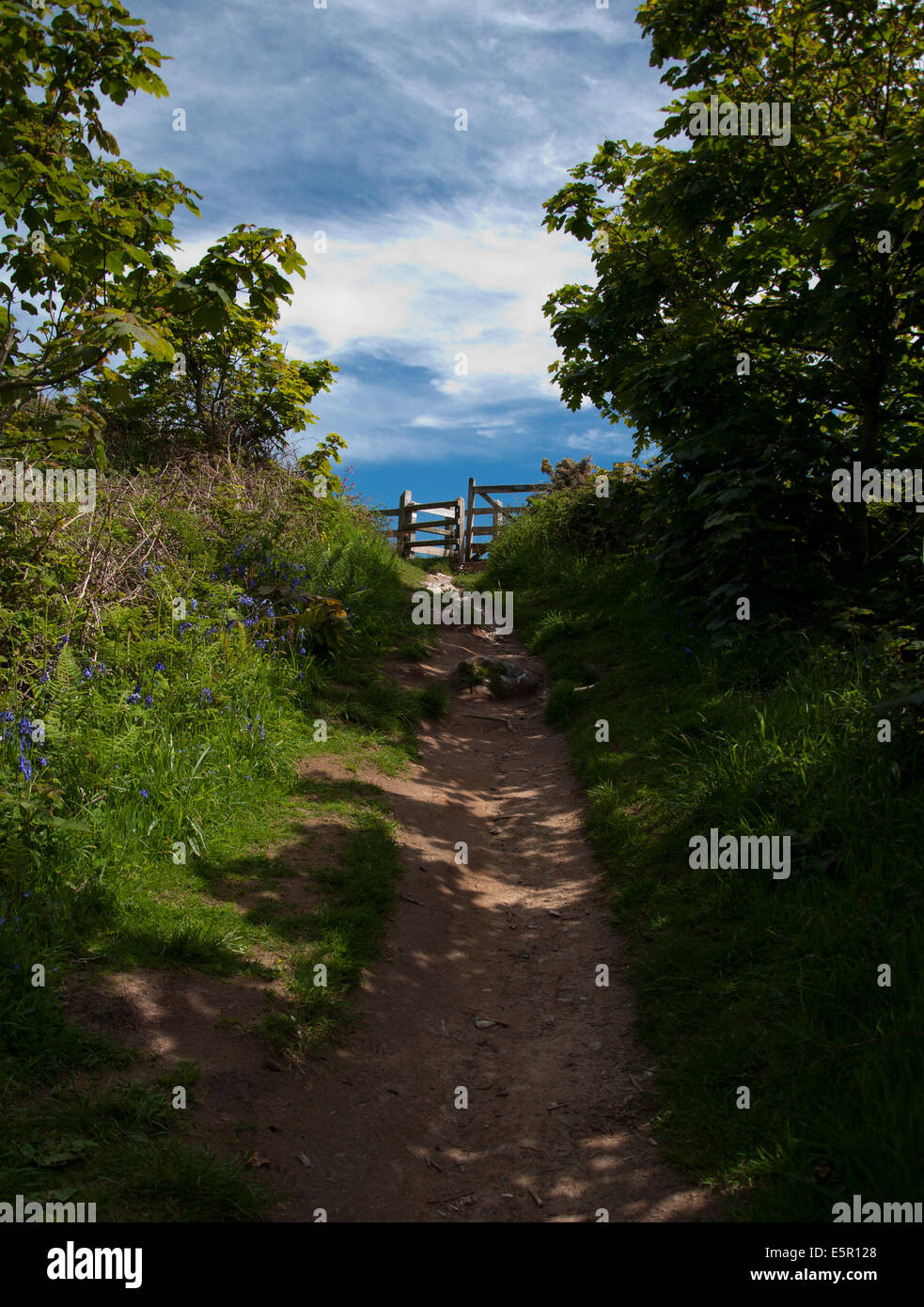 path to gate Stock Photo - Alamy