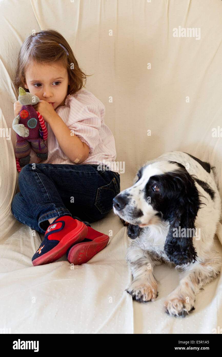 Why Are Dogs Scared Of Babies