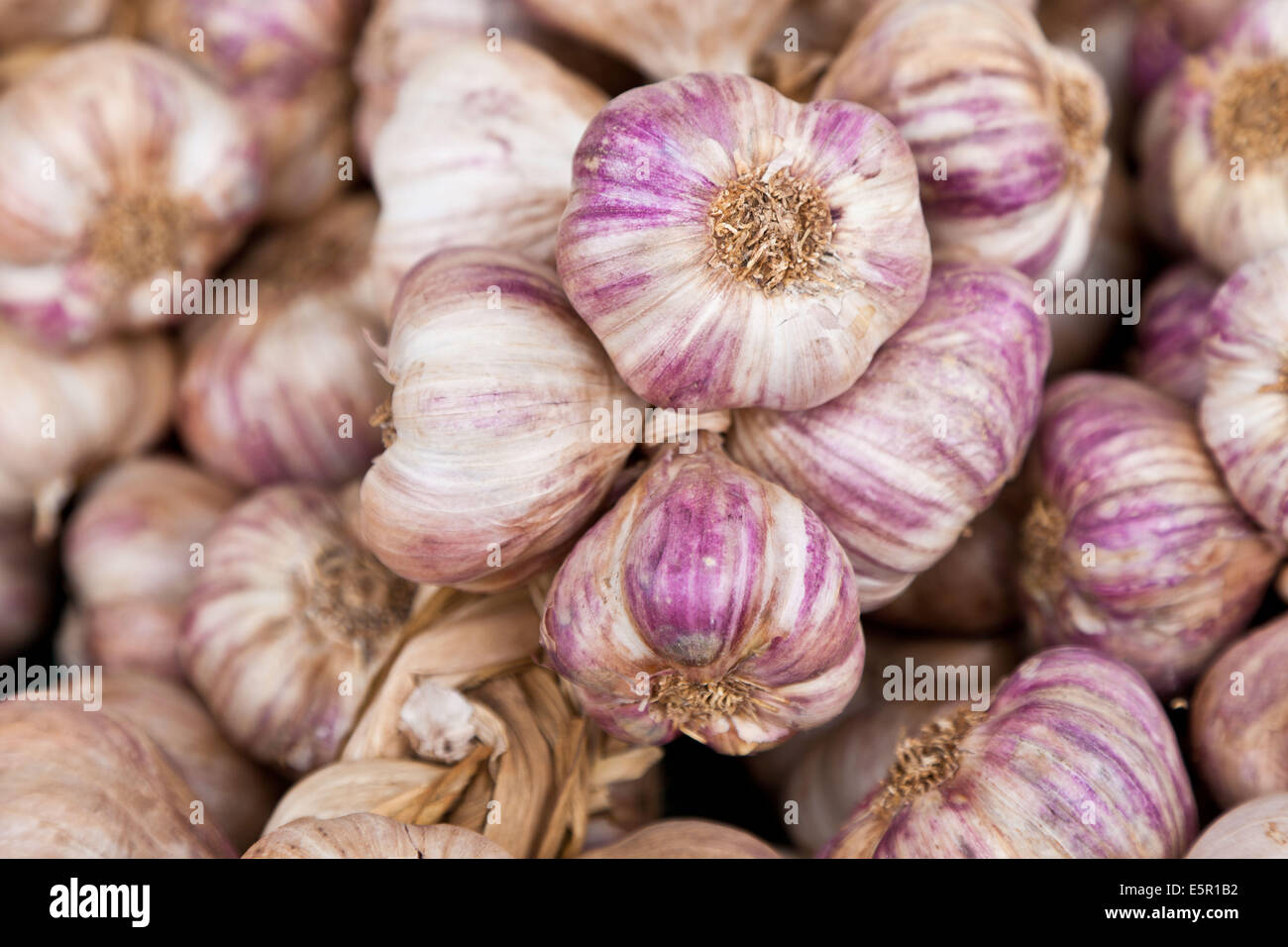 Clove of garlic Stock Photo - Alamy