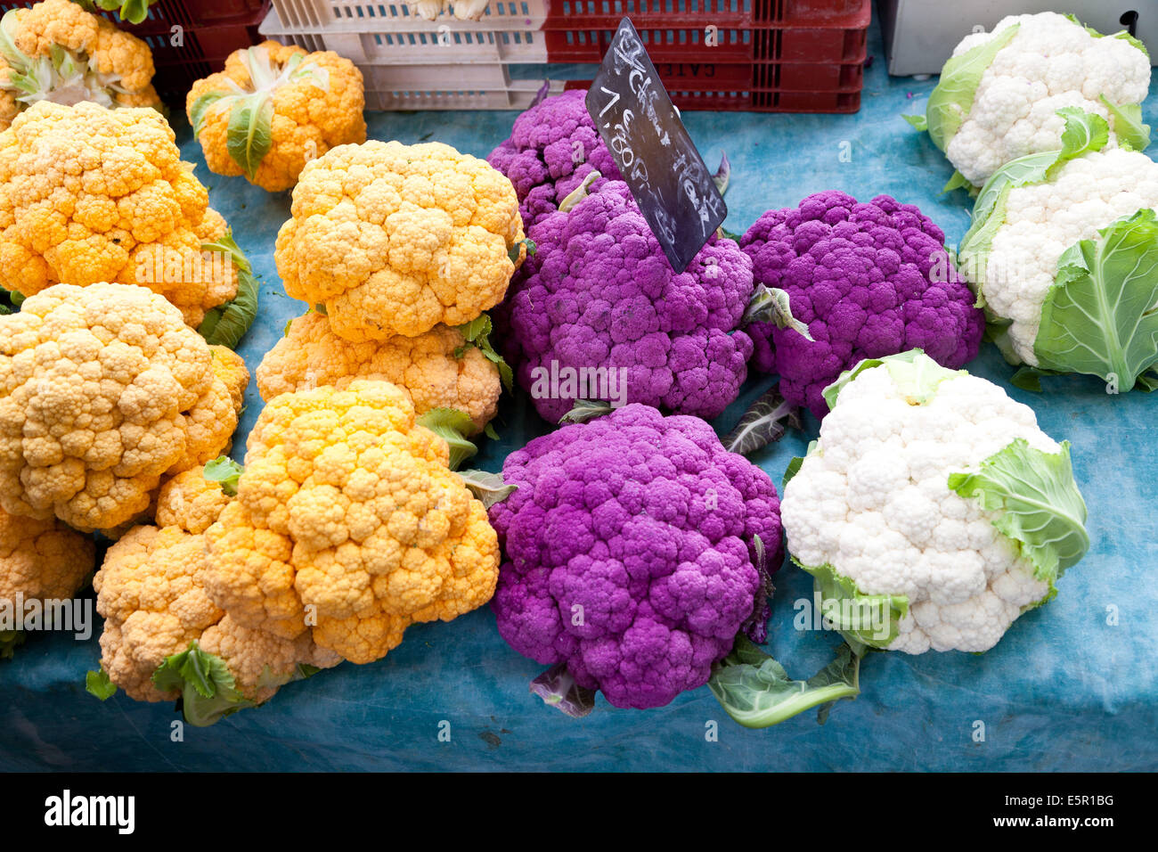 Old variety of cauliflower color orange and purple Stock Photo - Alamy