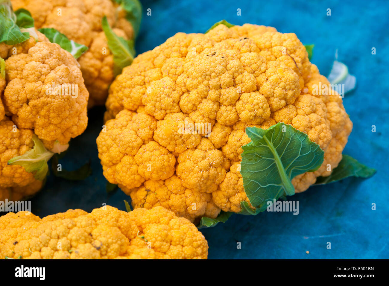 Old variety of cauliflower color orange Stock Photo - Alamy