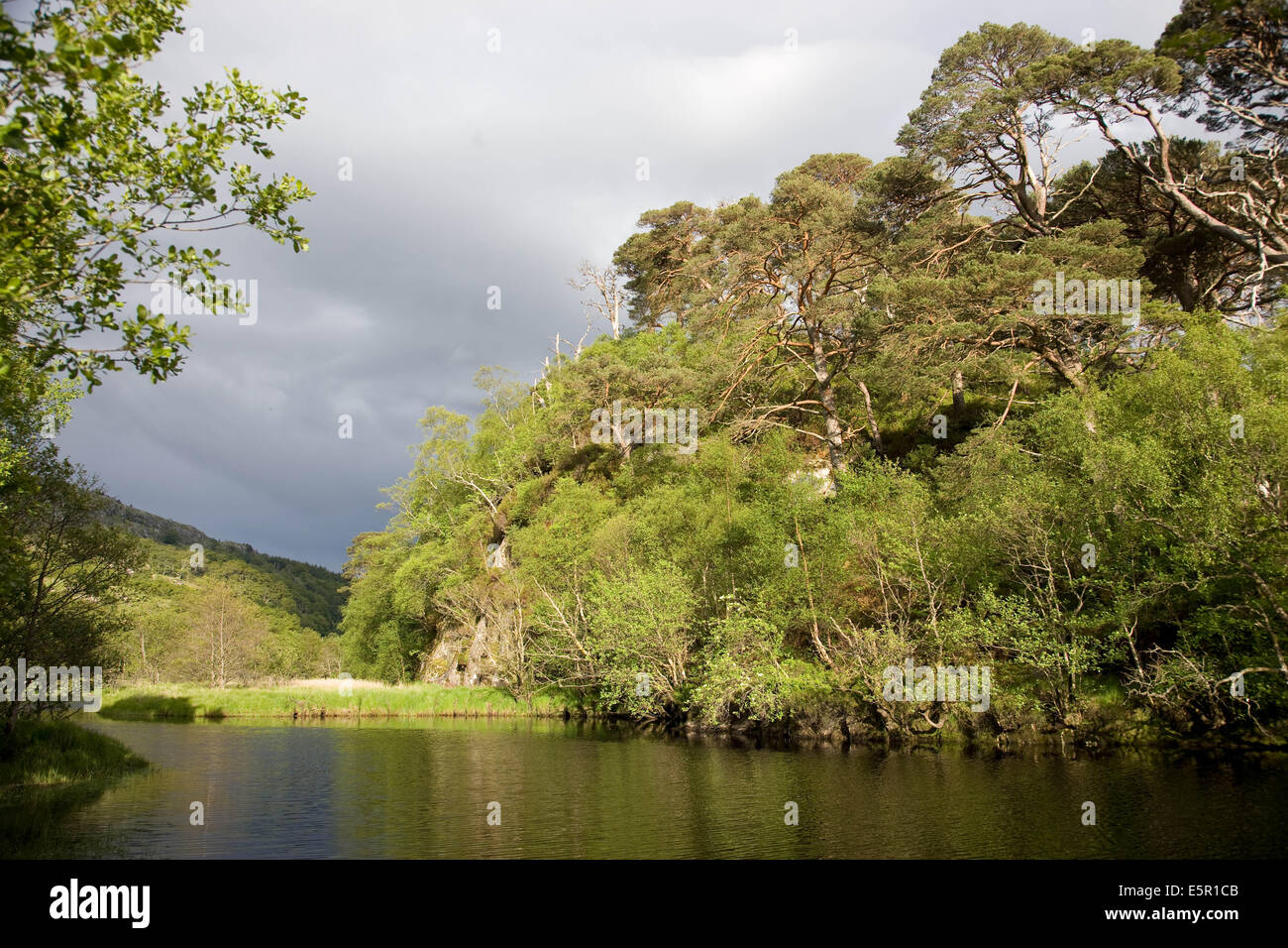 Eil hi-res stock photography and images - Alamy