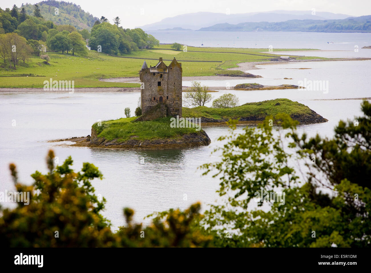 Stalker castle, Scotland Stock Photo - Alamy