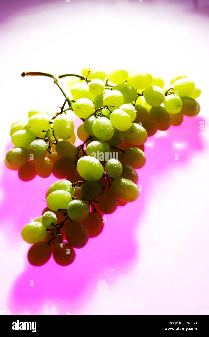 Bunch of grapes Stock Photo - Alamy